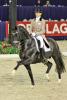 KWPN : Le cheval de sport néerlandais d'excellence