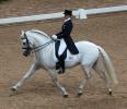 Pura Raza Española (PRE) - Andalusian horse : dressage horse ...